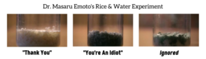 The Hidden Power of Words: A Lesson from Dr. Masaru Emoto’s Water ...